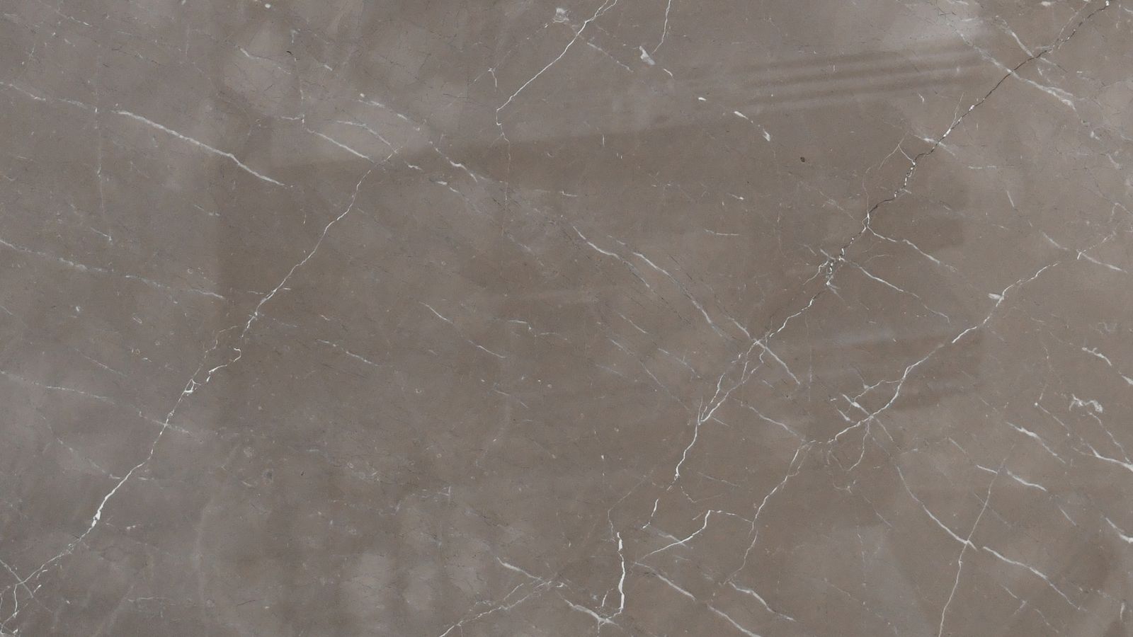 New York Stone | Gris Pulpis Marble, Marble from Spain